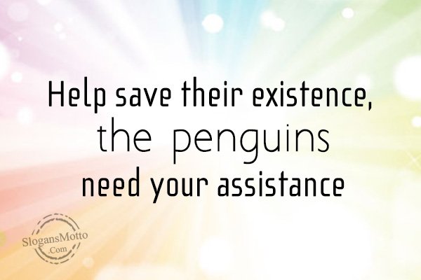 30+ Slogans on Penguins Day - Slogans Buddy