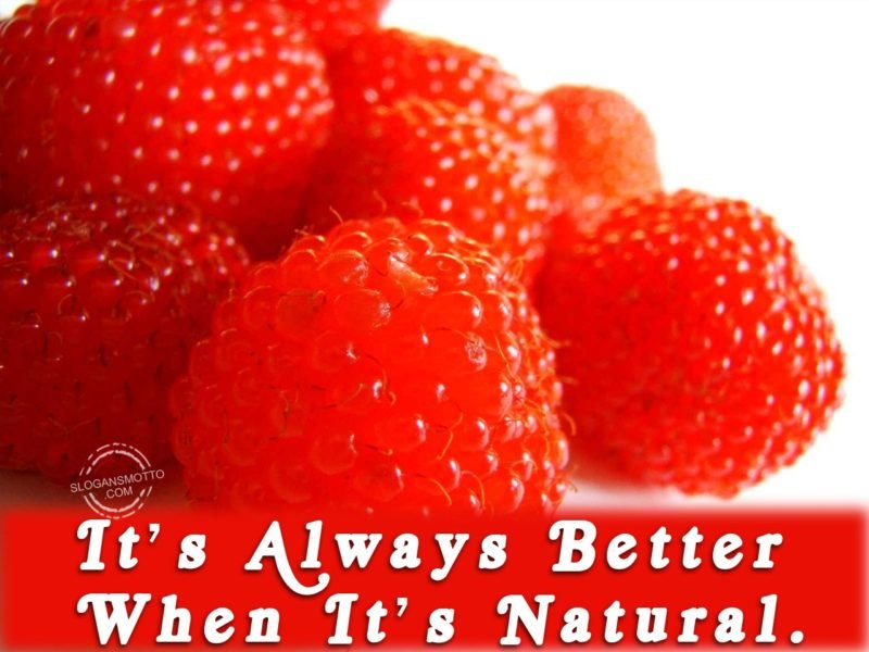 60+ Best Slogans on Organic Farming - Slogans Buddy