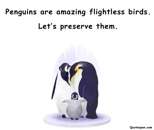 30+ Slogans on Penguins Day - Slogans Buddy