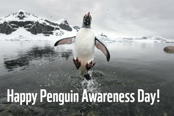 30+ Slogans on Penguins Day - Slogans Buddy