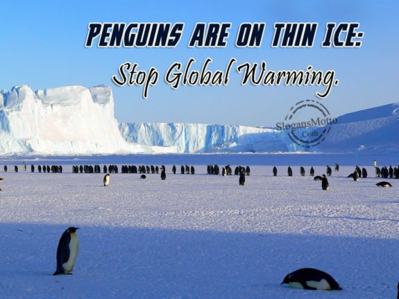 30+ Slogans on Penguins Day - Slogans Buddy
