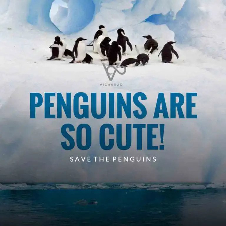 30+ Slogans on Penguins Day - Slogans Buddy