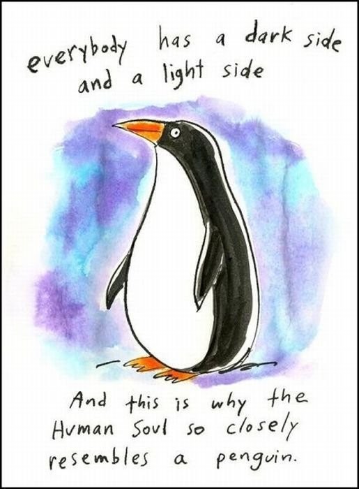 30+ Slogans on Penguins Day - Slogans Buddy