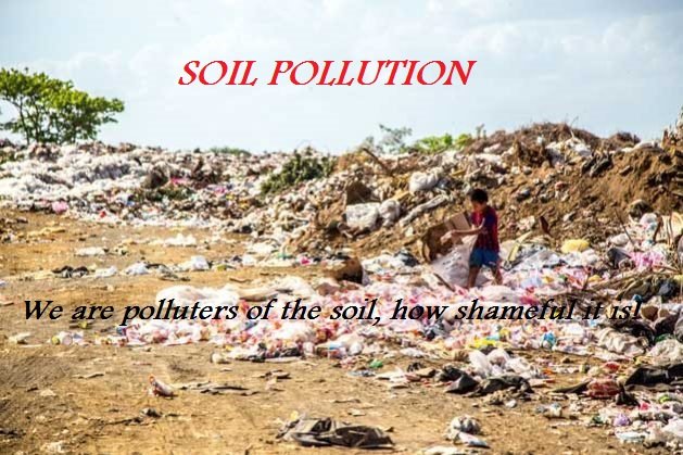 110+ Superb Slogans On Soil Pollution - Slogans Buddy