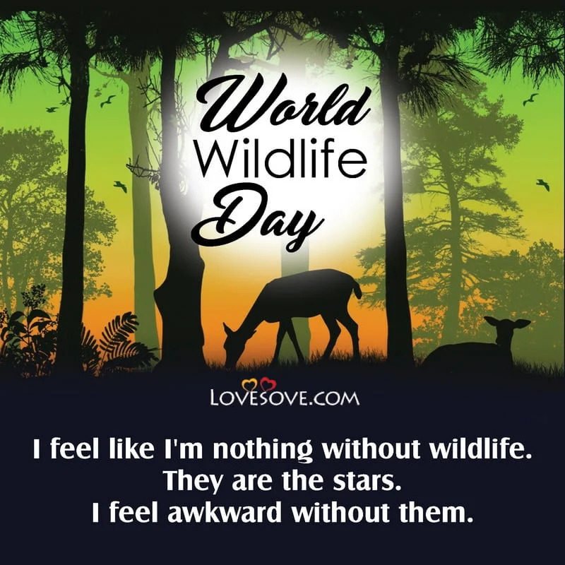 100+ Slogans on Saving The Wildlife With Images - Slogans Buddy