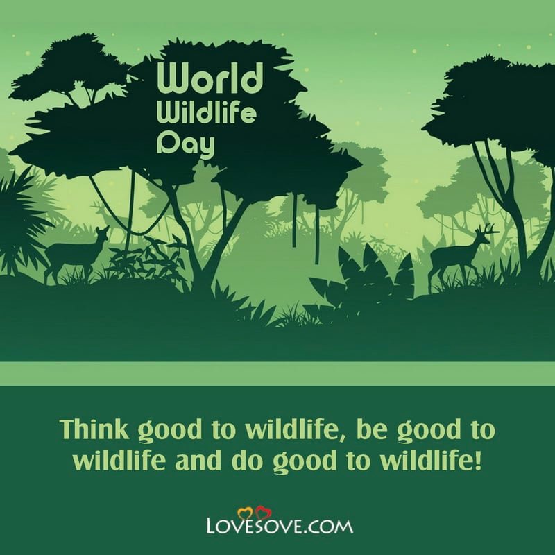 100+ Slogans on Saving The Wildlife With Images - Slogans Buddy