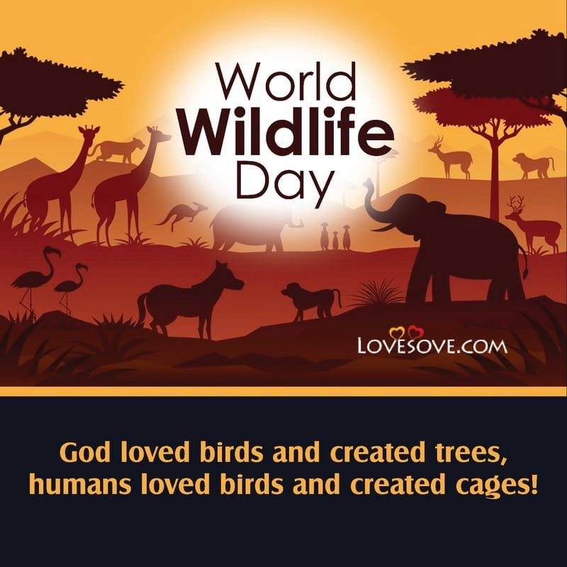 100+ Slogans on Saving The Wildlife With Images - Slogans Buddy