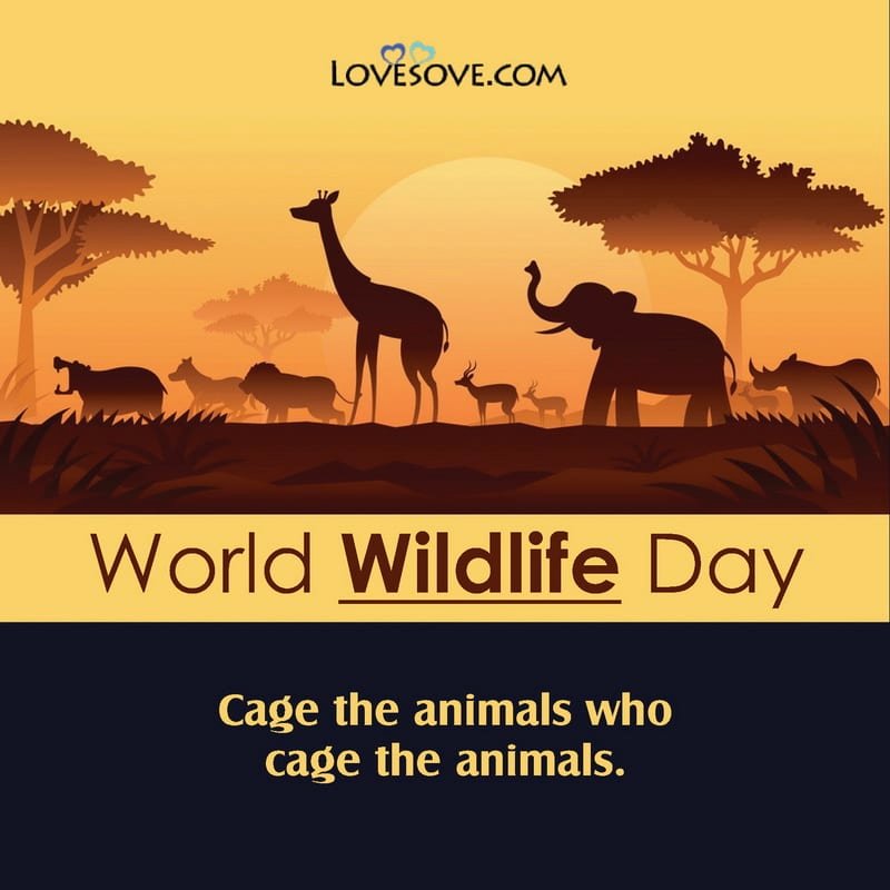 100+ Slogans on Saving The Wildlife With Images - Slogans Buddy