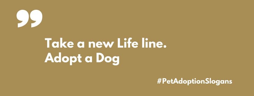 60+ Amazing Dog Slogans - Slogans Buddy
