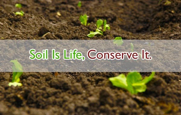 110+ Superb Slogans On Soil Pollution - Slogans Buddy