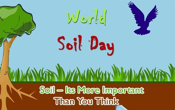 110+ Superb Slogans On Soil Pollution - Slogans Buddy