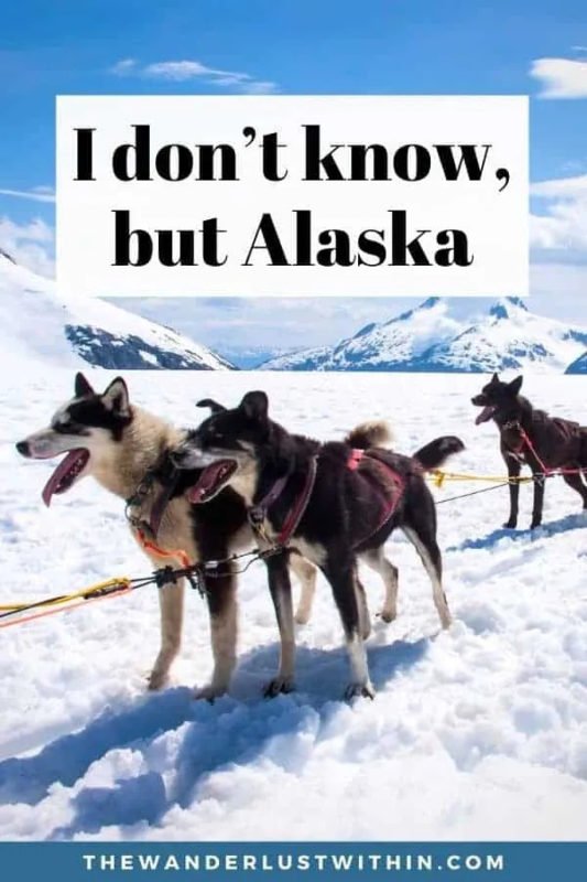 70+ Amazing Alaska Slogans - Slogans Buddy