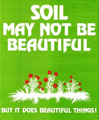 110+ Superb Slogans On Soil Pollution - Slogans Buddy