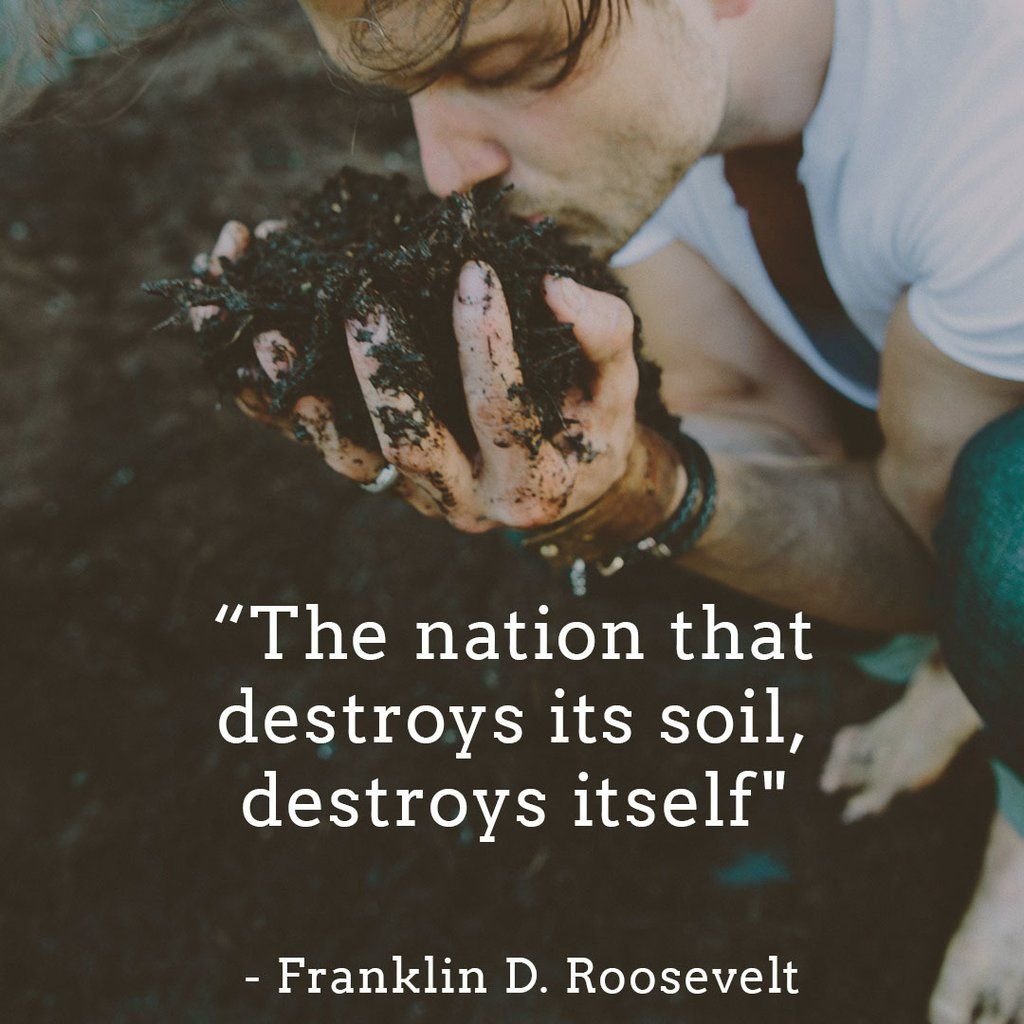 110+ Superb Slogans On Soil Pollution - Slogans Buddy