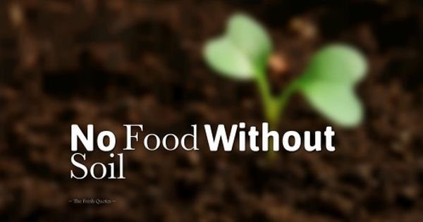 110+ Superb Slogans On Soil Pollution - Slogans Buddy