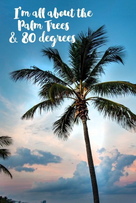 70+ Fantastic Florida Slogans - Slogans Buddy