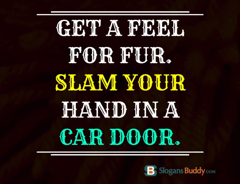 50+ Anti-Fur Slogans - Slogans Buddy