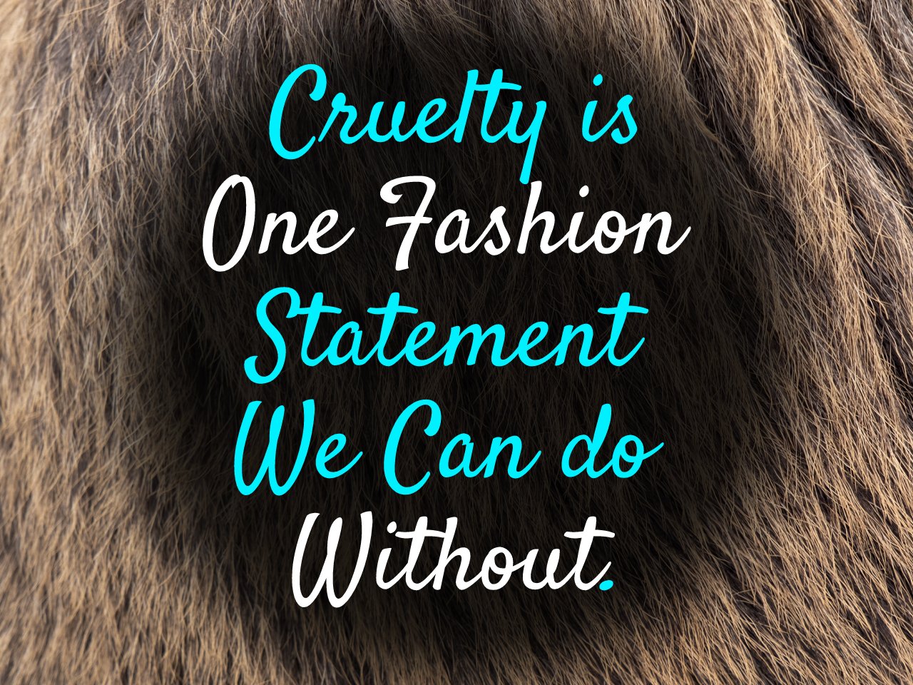 50+ Anti-Fur Slogans - Slogans Buddy