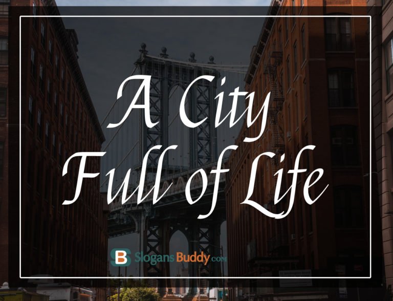 50+ New York Slogans - Slogans Buddy