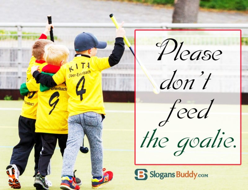 30+ Awesome Archery Slogans - Slogans Buddy